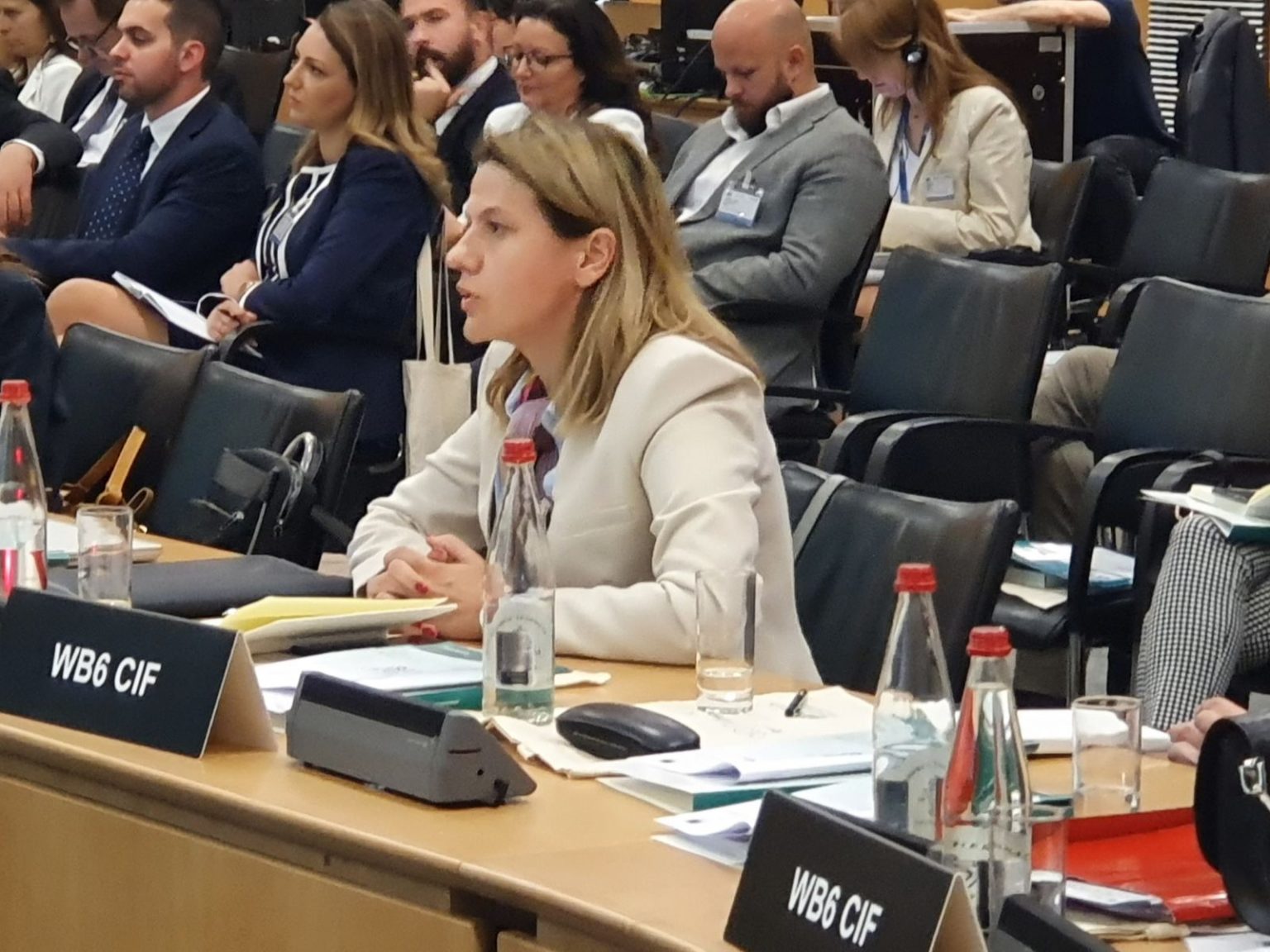 Drakić: Neophodno unaprijediti digitalnu preduzetničku kulturu